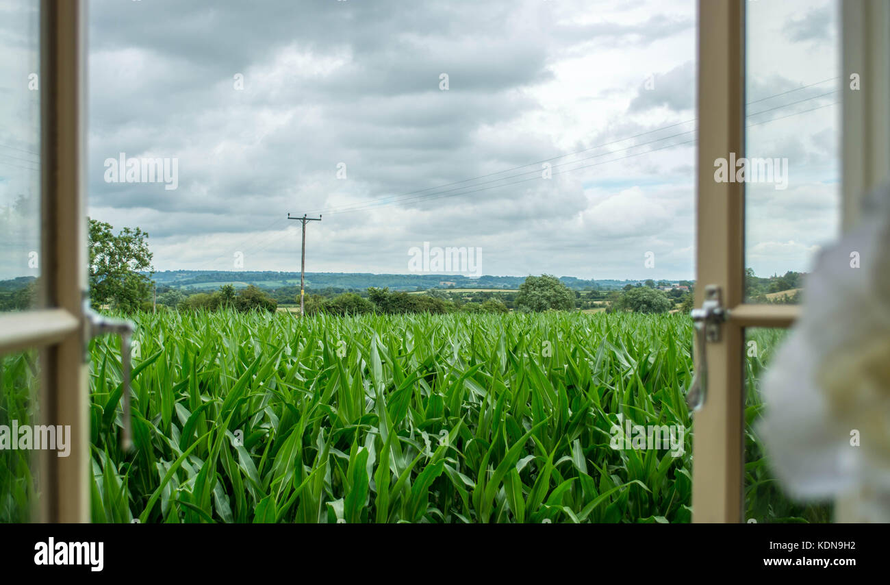 Landscape view of Wiltshire fields Stock Photo - Alamy