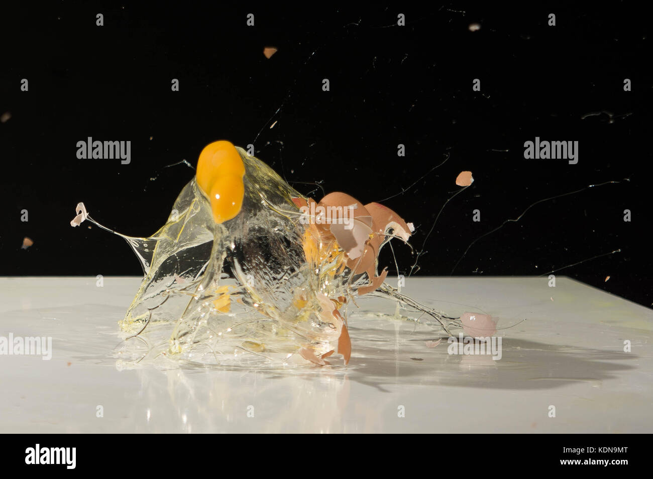 Gun egg hi-res stock photography and images - Alamy