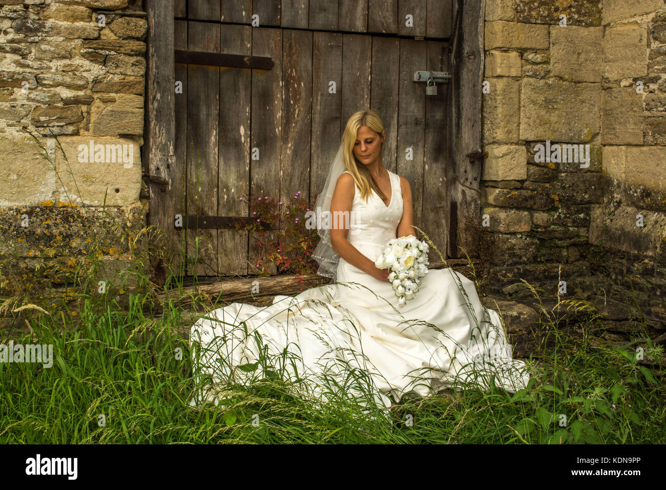 Bride in wedding dress Stock Photo - Alamy