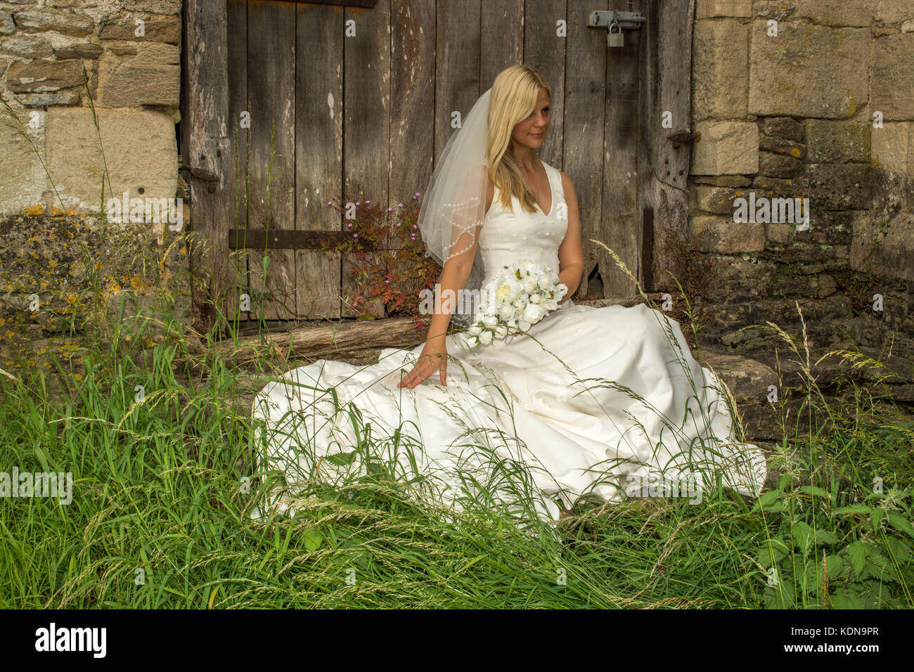Bride in wedding dress Stock Photo - Alamy