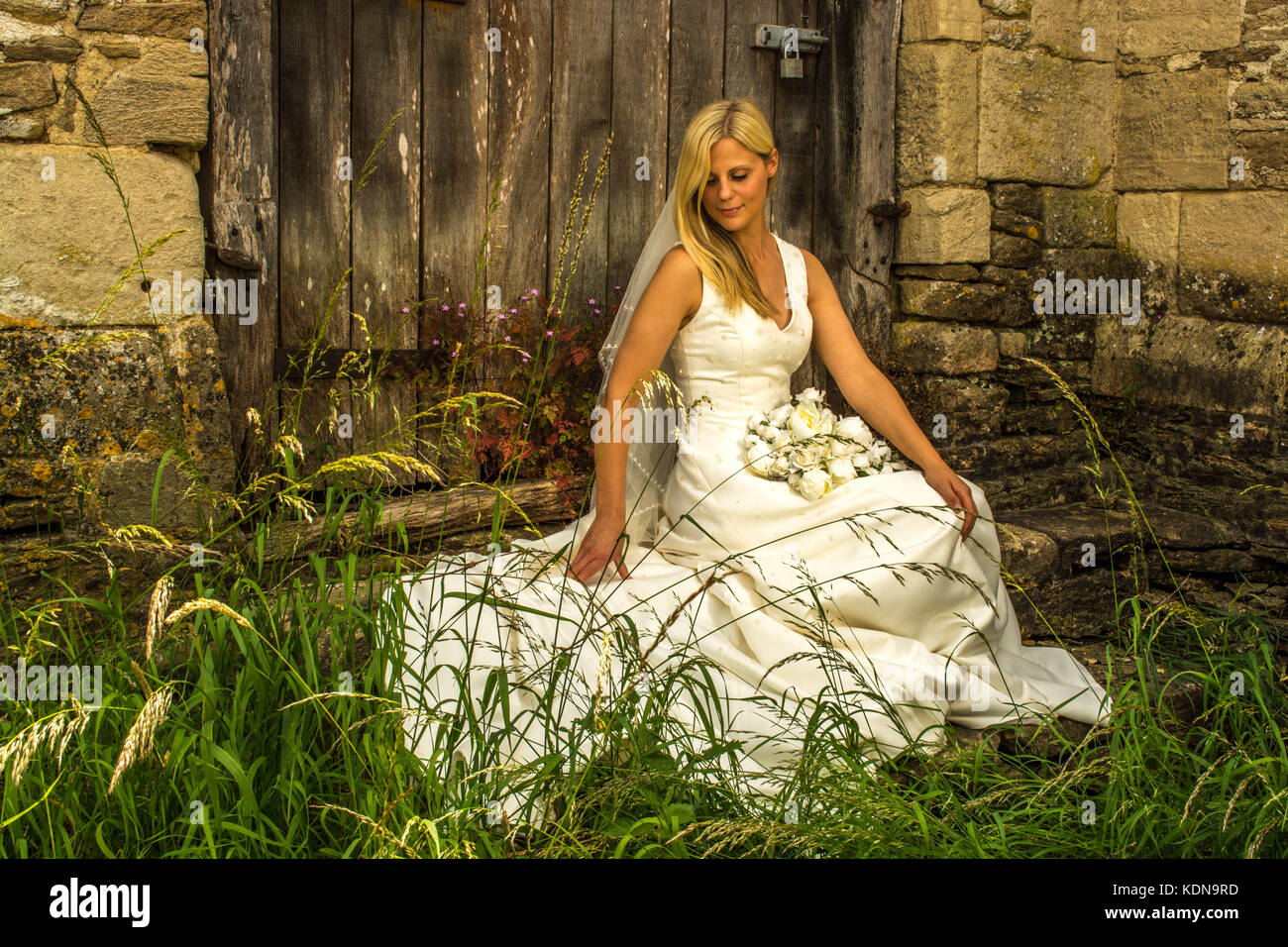 Bride in wedding dress Stock Photo - Alamy