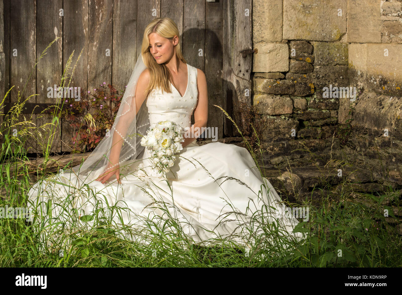 Bride in wedding dress Stock Photo - Alamy