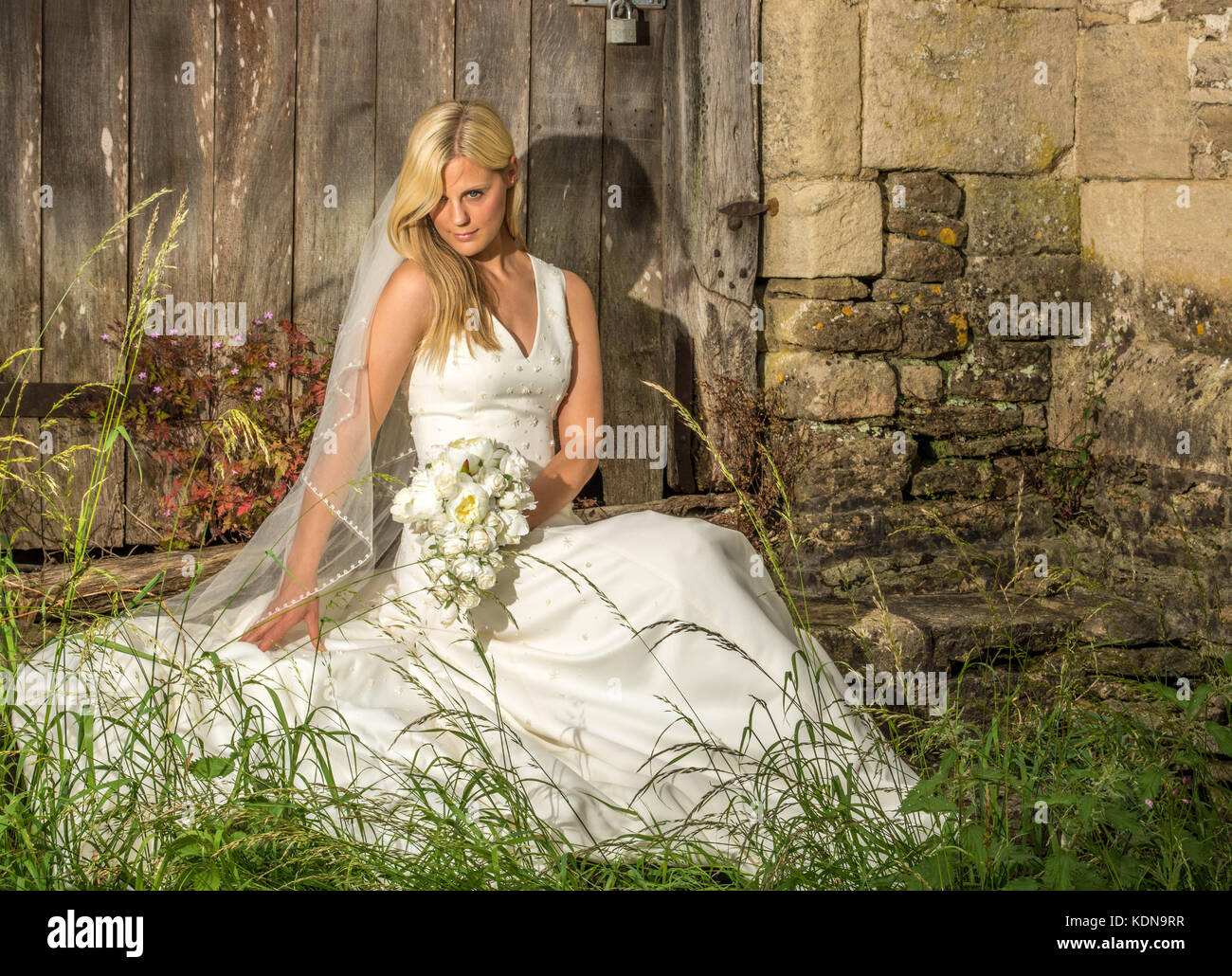 Bride in wedding dress Stock Photo - Alamy