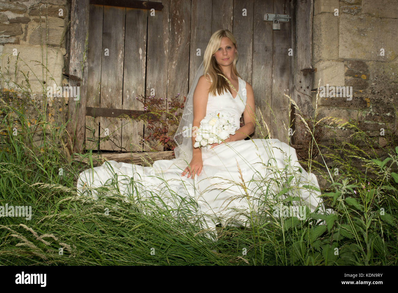 Bride in wedding dress Stock Photo - Alamy