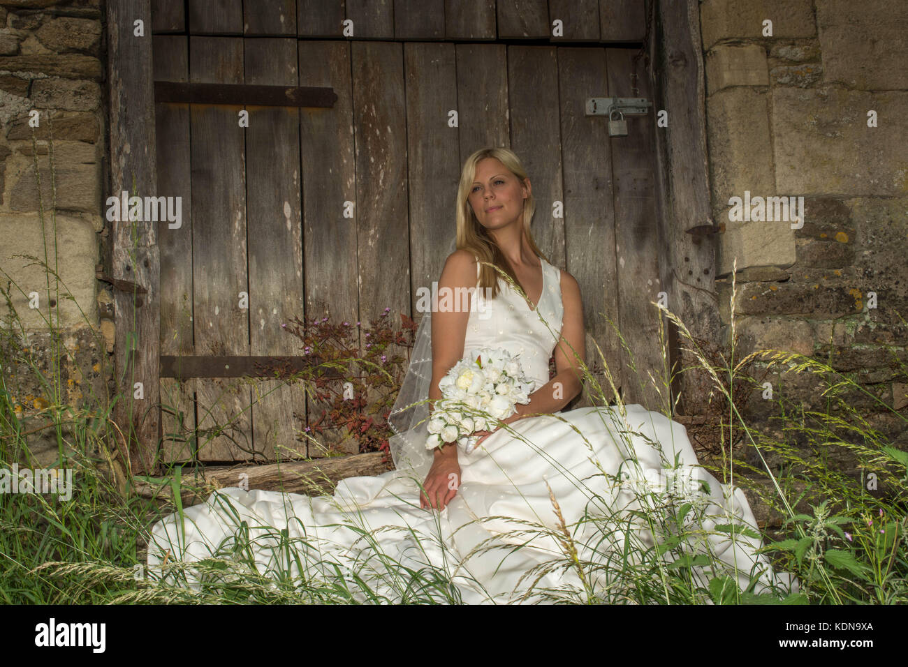 Bride in wedding dress Stock Photo - Alamy