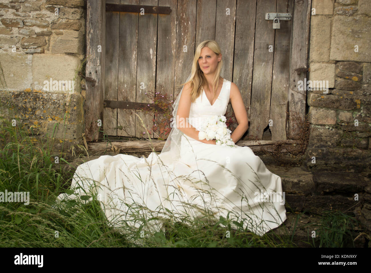 Bride in wedding dress Stock Photo - Alamy