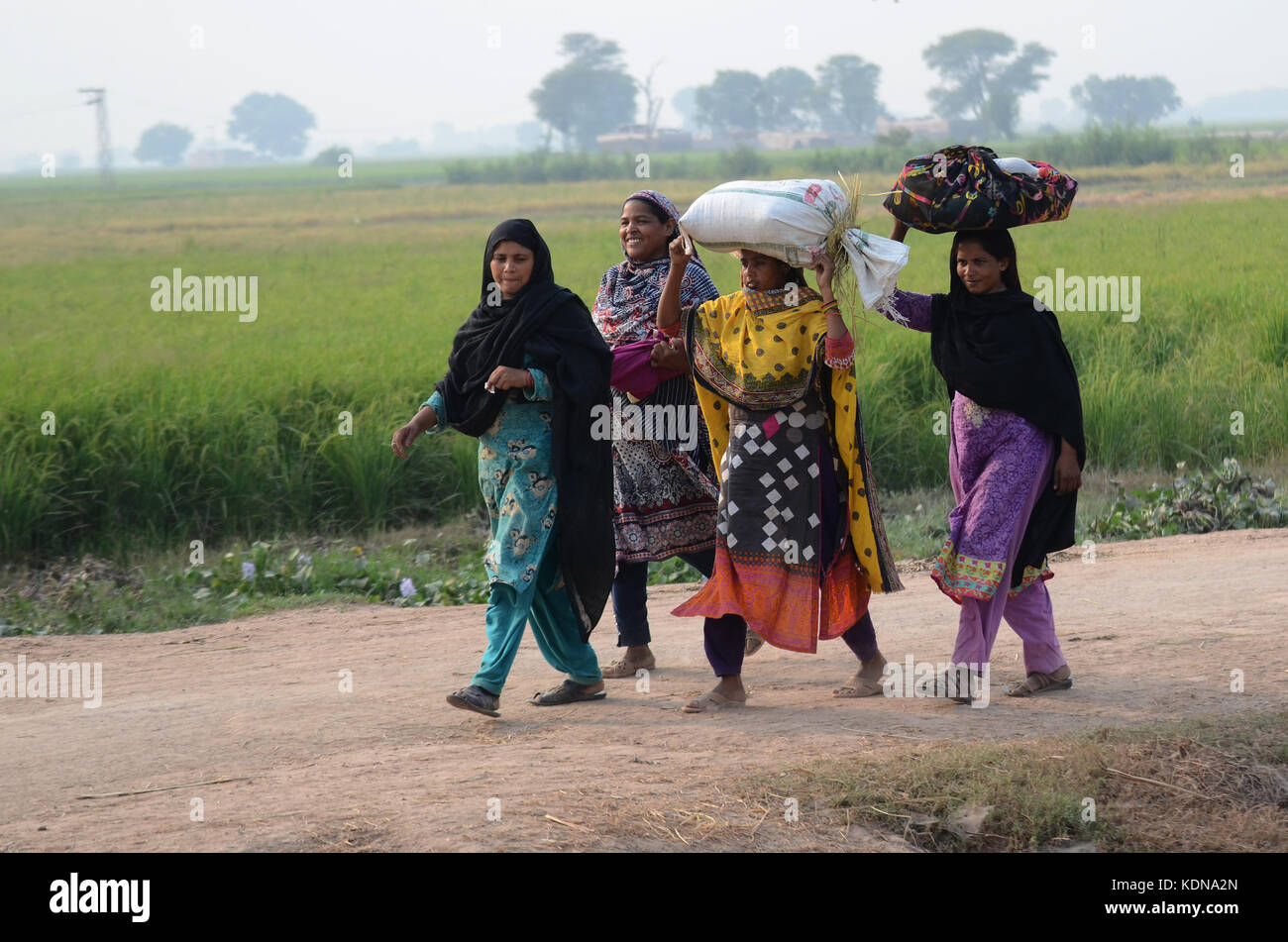Lahore, Pakistan. 11th Oct, 2017. Pakistani villager woman busy in ...
