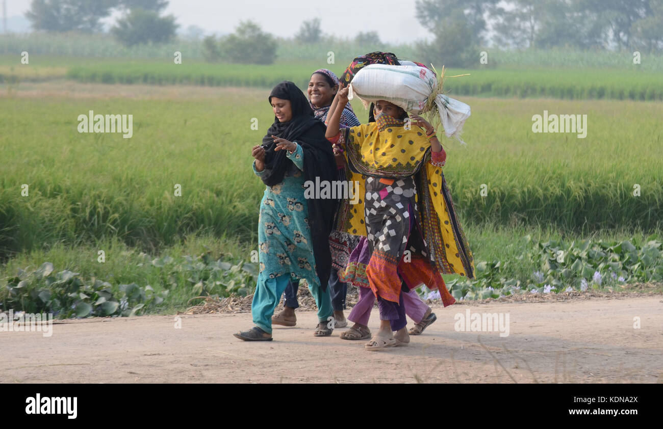 Lahore, Pakistan. 11th Oct, 2017. Pakistani villager woman busy in ...