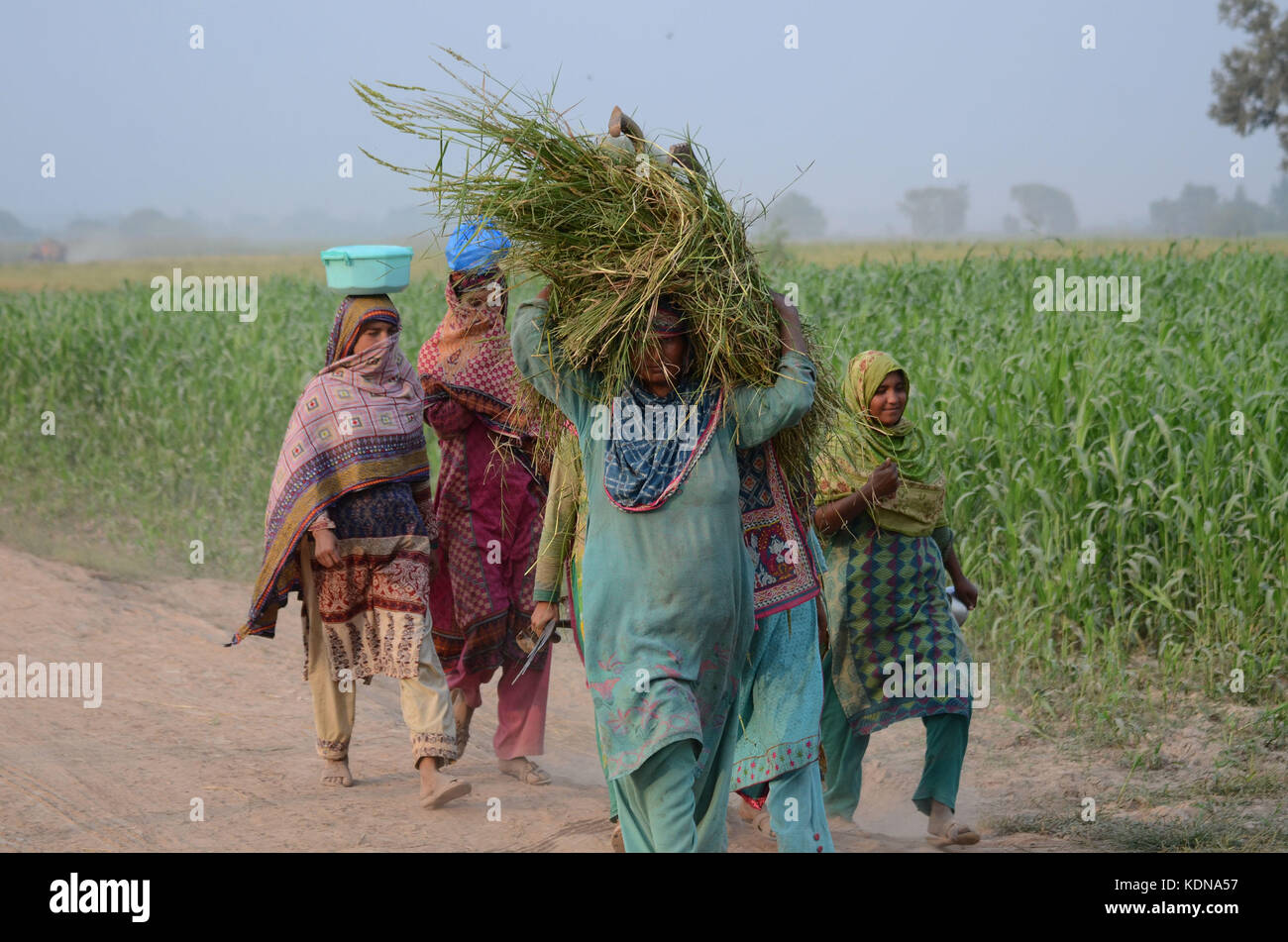 Lahore, Pakistan. 11th Oct, 2017. Pakistani villager woman busy in ...