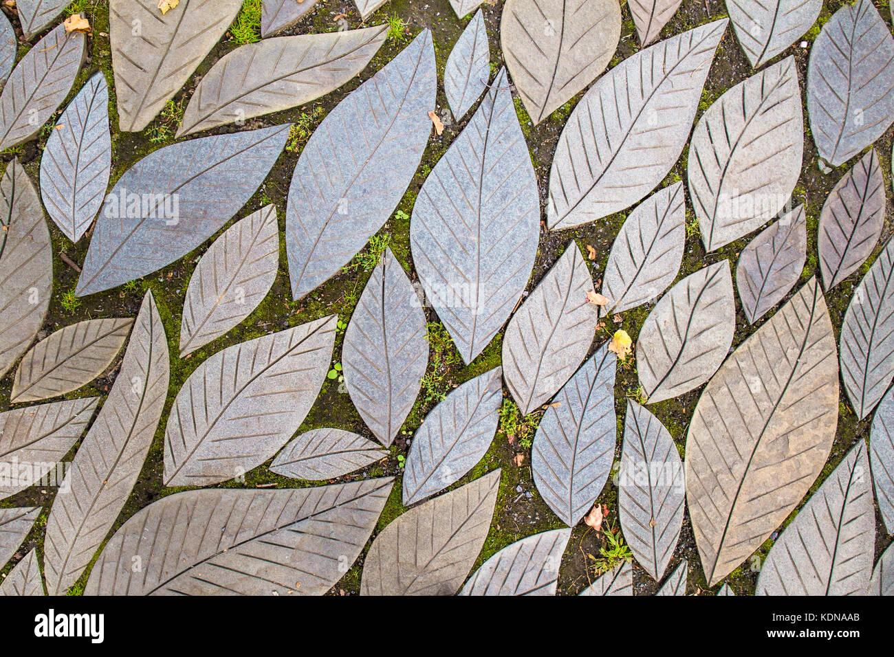 Leaf shaped garden stone pavers Stock Photo - Alamy