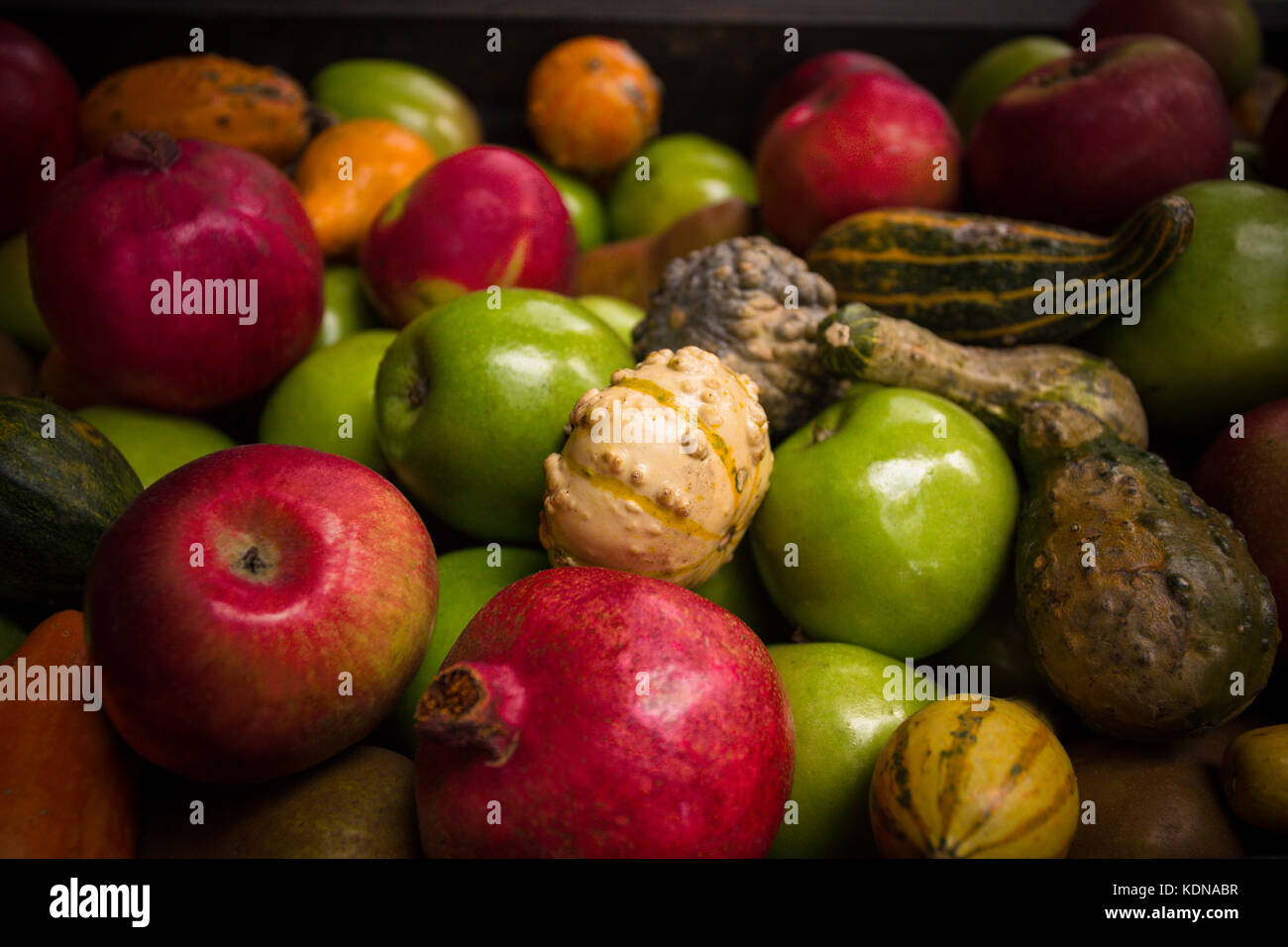 Fall still-life of fruit and gourds Stock Photo - Alamy