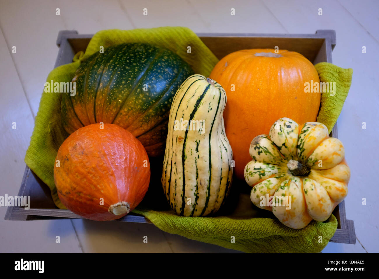 selection of squash from canterbury kent uk october 2017 Stock Photo ...