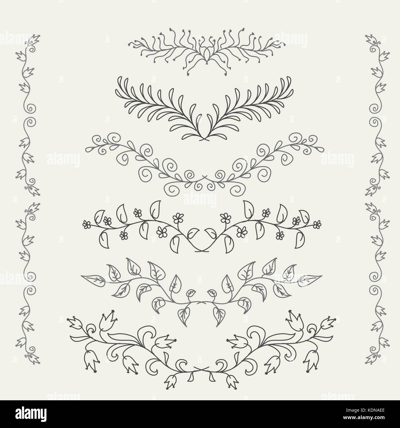 Vintage set of hand drawn rustic laurels. Floral vector graphic. Nature ...