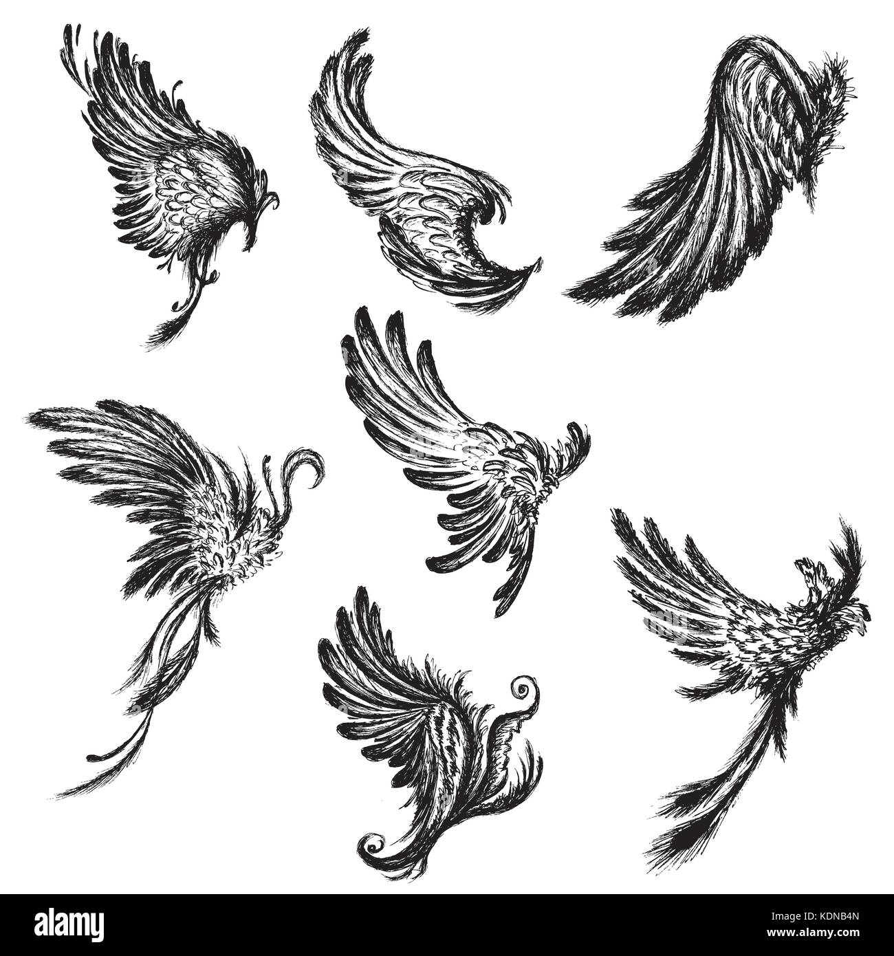 Set Wings isolated on white background,hand drawing, vector ...