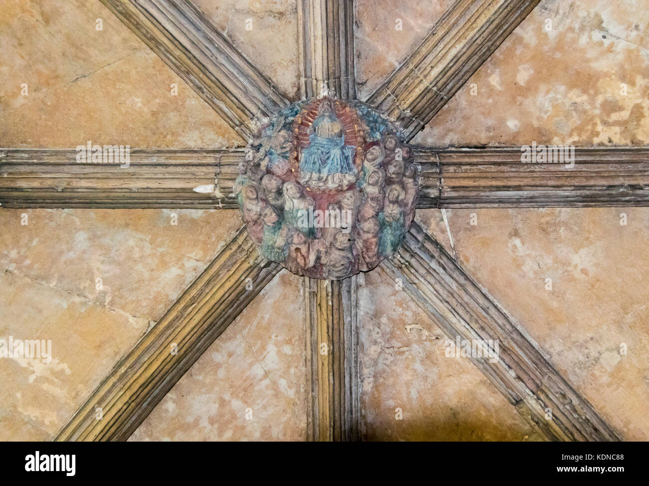 Stone detail (boss) on the cloisters ceiling, Norwich Cathedral ...