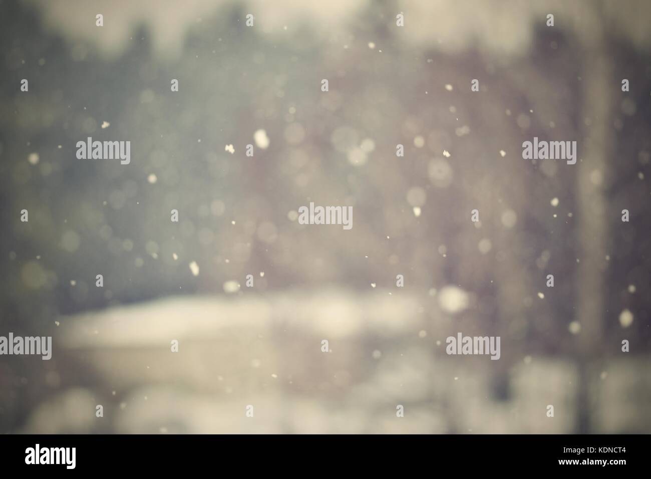 Beautiful light snow falling in hi-res stock photography and images - Alamy