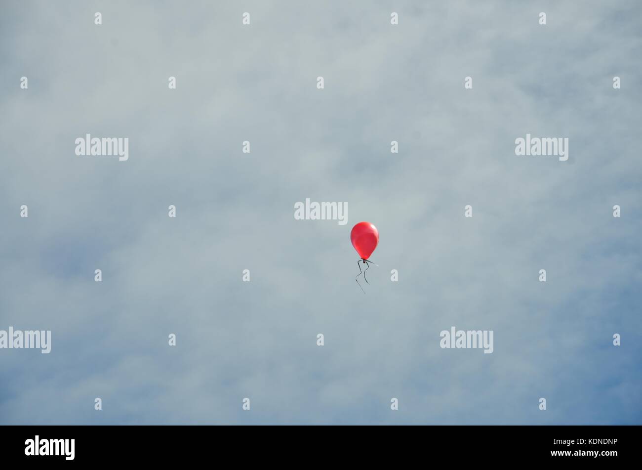 Single red helium filled balloon flies off into light cloudy sky Stock ...