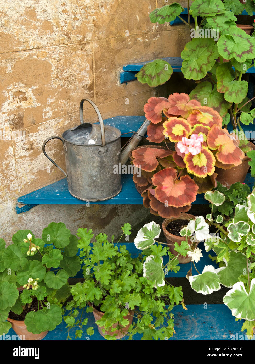 Watering pot plants uk hi-res stock photography and images - Alamy