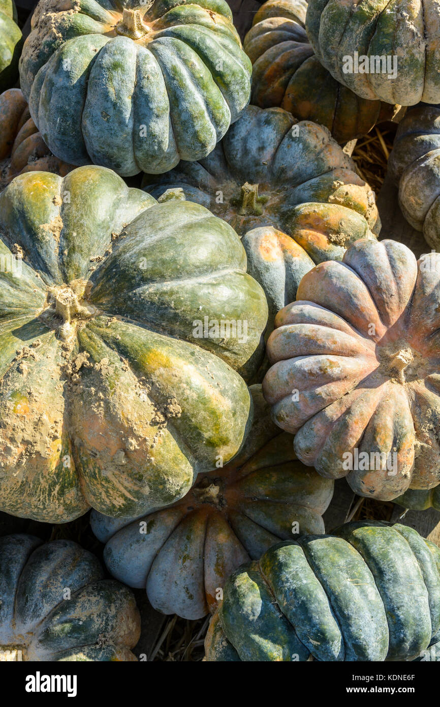 Moscata di provenza hi-res stock photography and images - Alamy