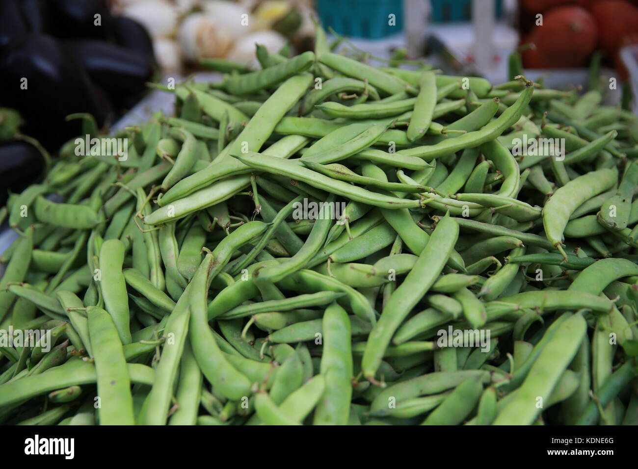 Bin of green beans on display at a farmers market Stock Photo - Alamy