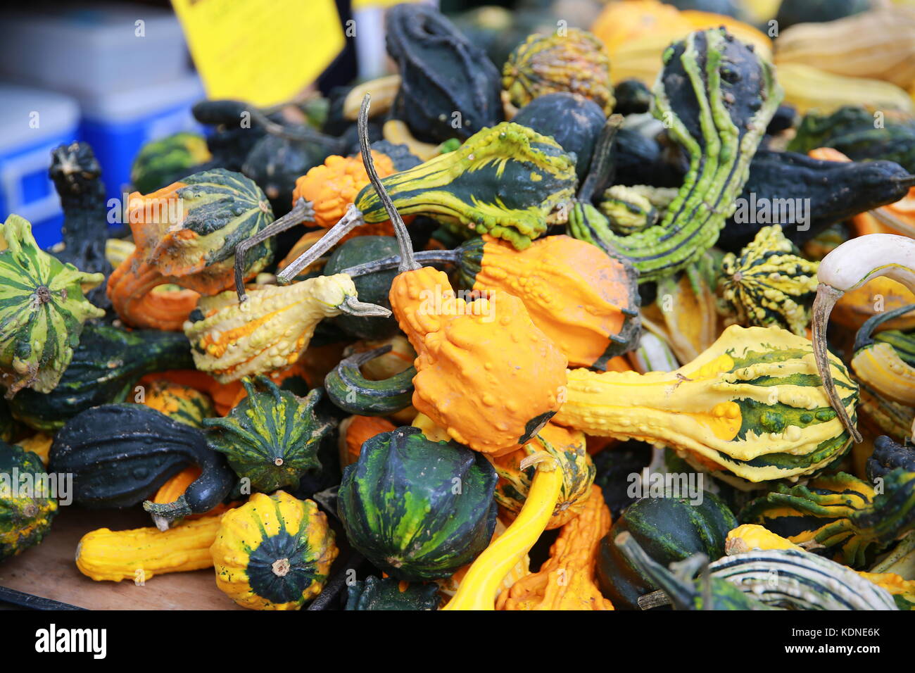 Squash on display at a farmers market Stock Photo - Alamy