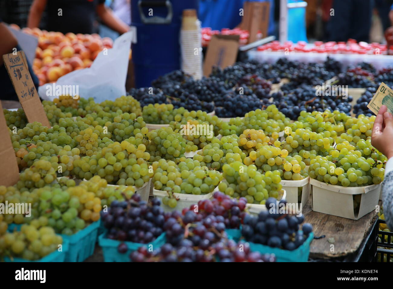 A variety of colored grapes for sale at a farmers market in New York ...