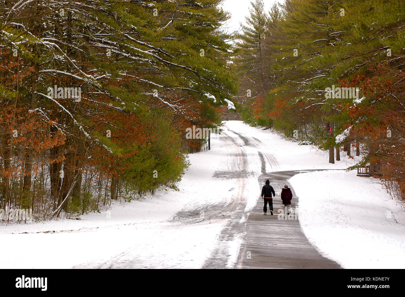 Massasoit State Park High Resolution Stock Photography and Images - Alamy