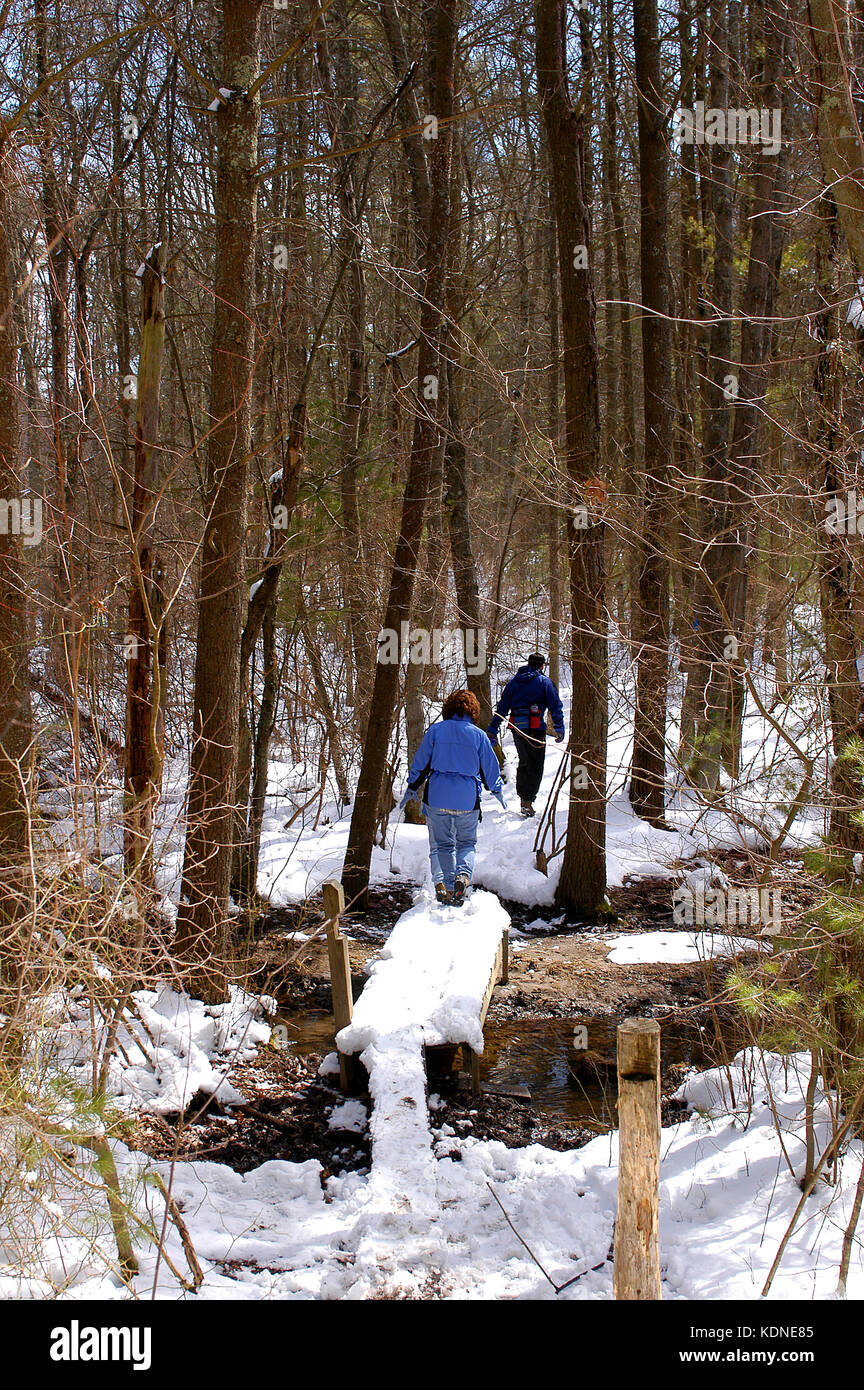 Massasoit state park hi-res stock photography and images - Alamy