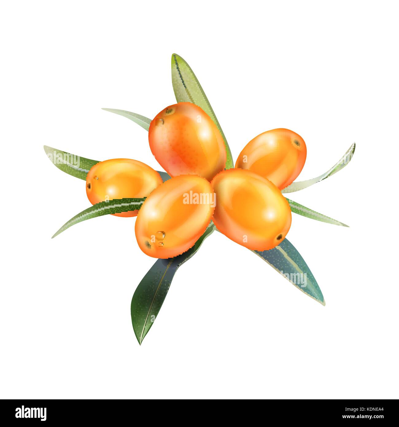 Jam 3d icon on Stock Vector Images - Alamy