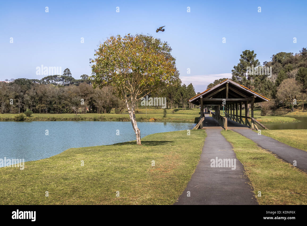 Tingui park hi-res stock photography and images - Alamy