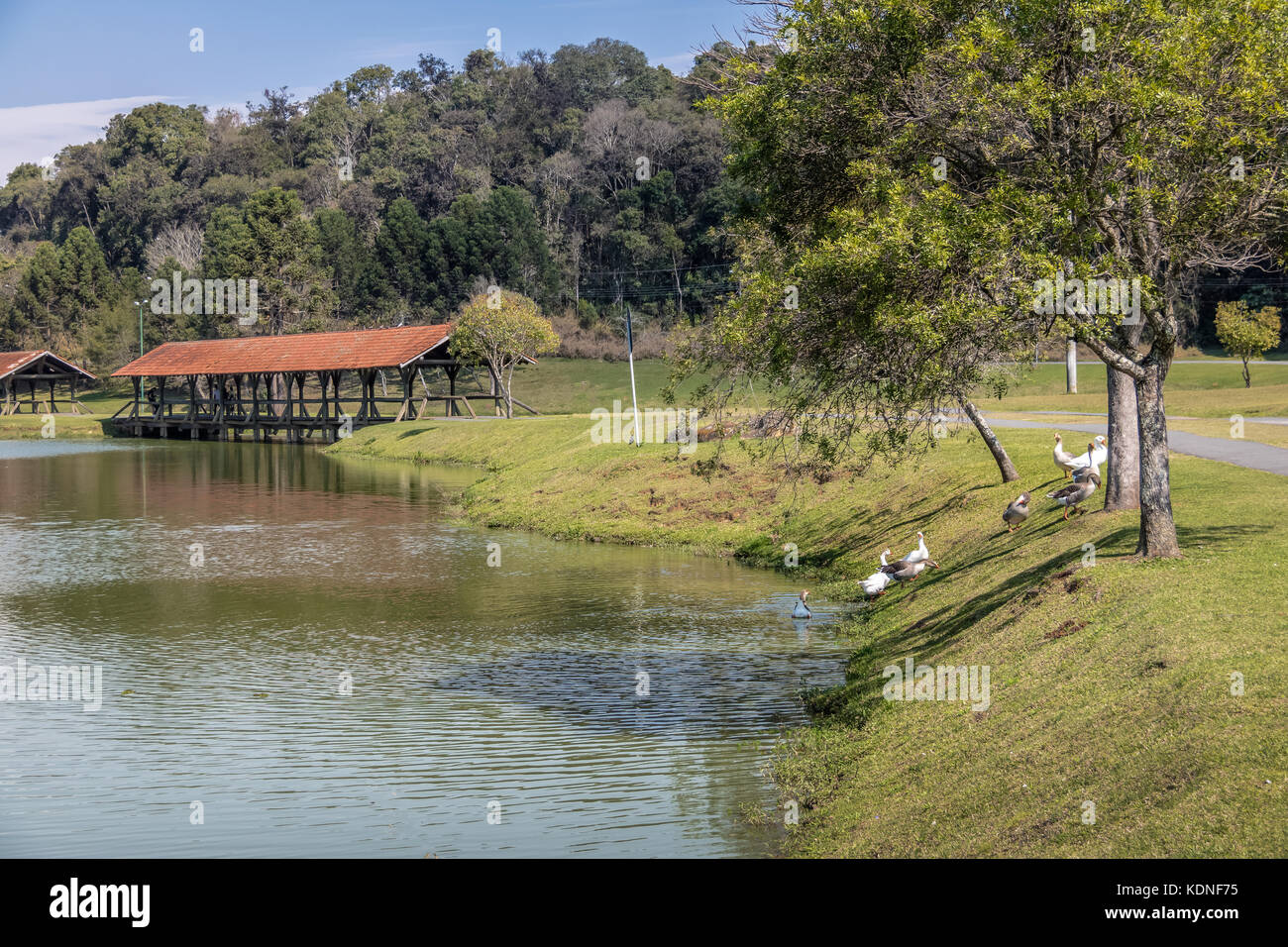 Tingui park hi-res stock photography and images - Alamy