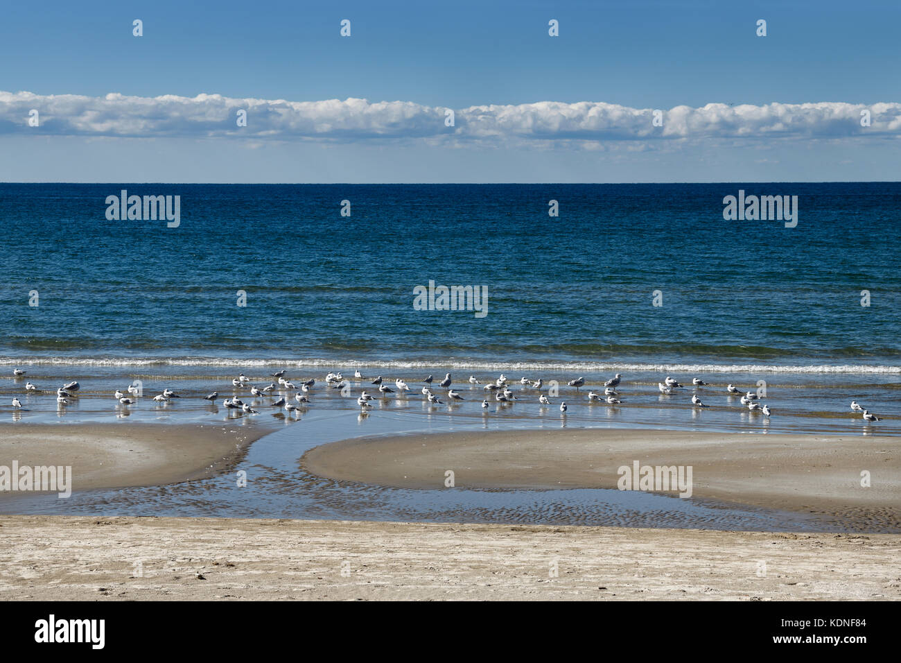 Clouds over Lake Ontario Athol Bay with seagulls on Outlet Beach of ...