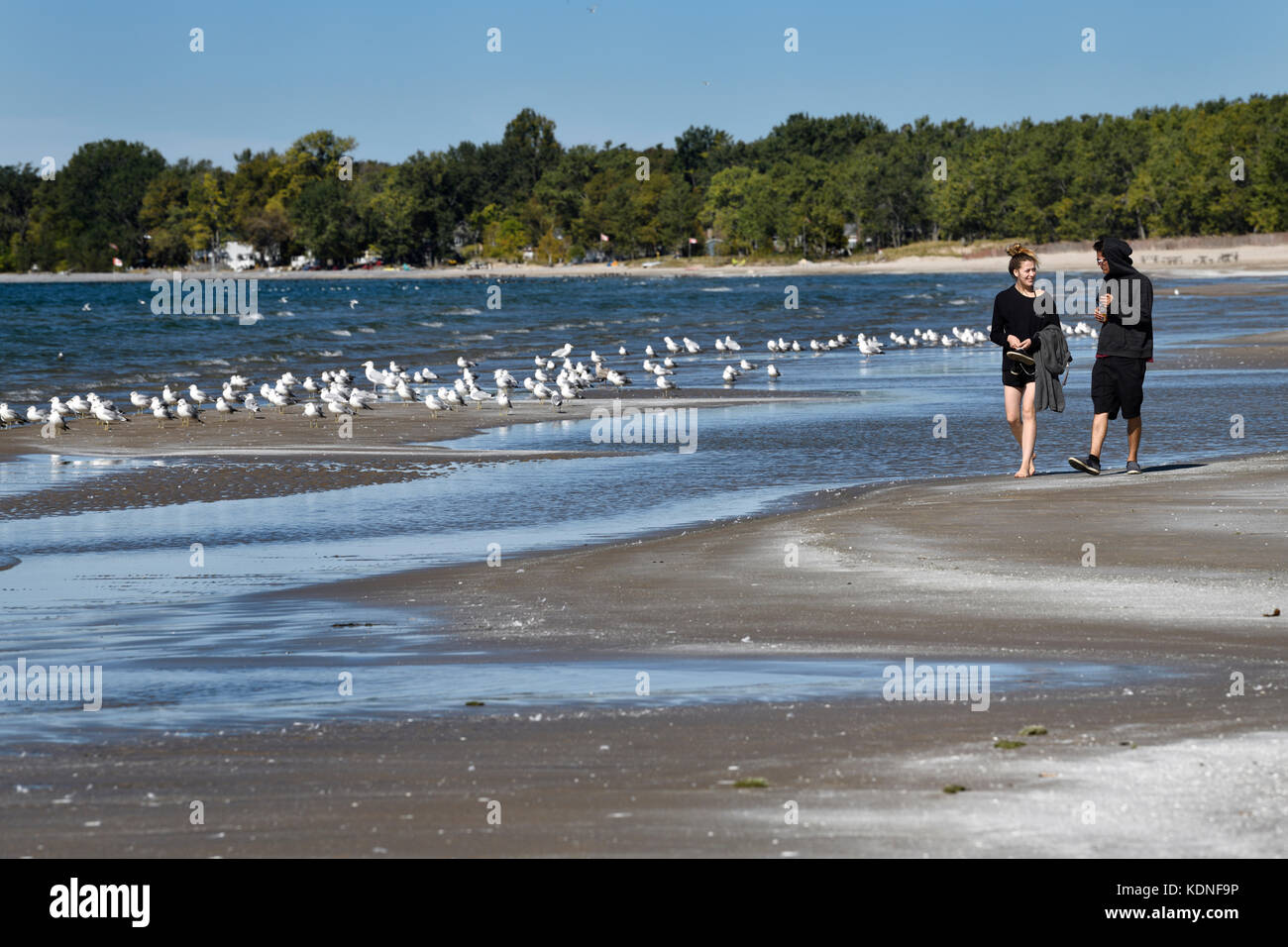 Couple walking on beach sandbar with seagulls at Outlet Beach of ...