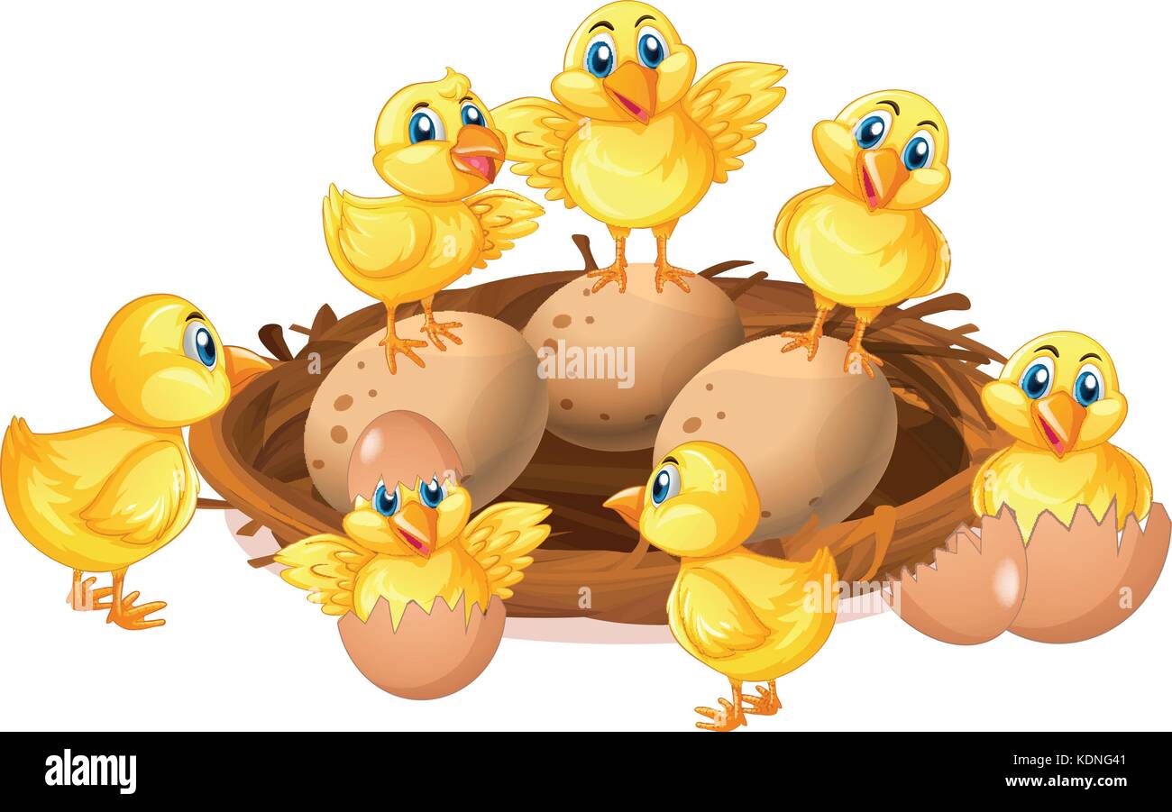 Many chicks and eggs in nest illustration Stock Vector Image & Art - Alamy