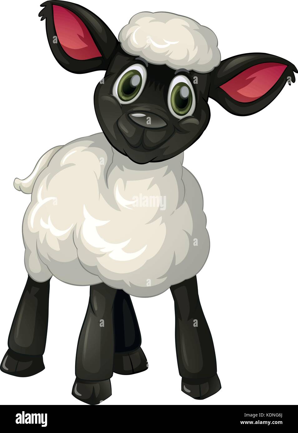 Little sheep on white Stock Vector Images - Alamy