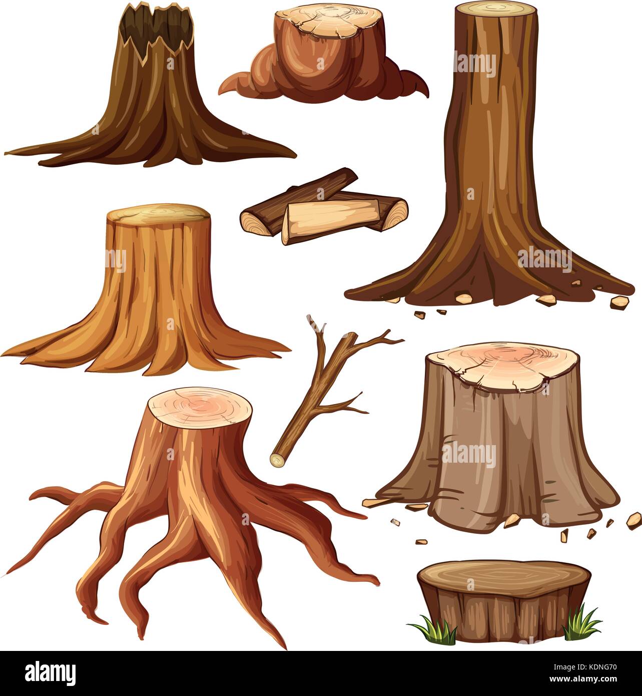 Different stump trees on white background illustration Stock Vector ...