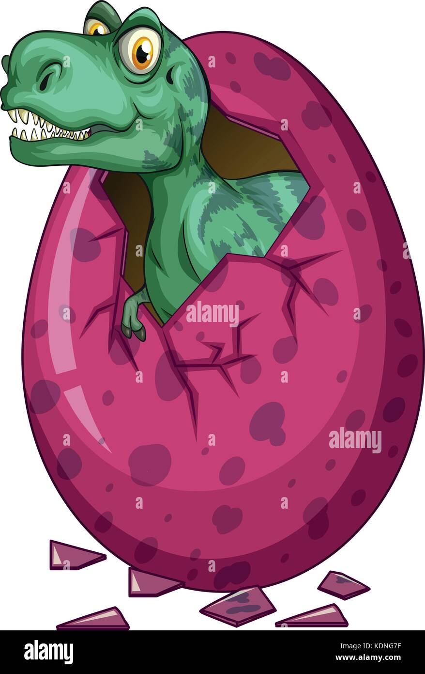 Tyranosauras Rex hatching egg illustration Stock Vector Image & Art - Alamy