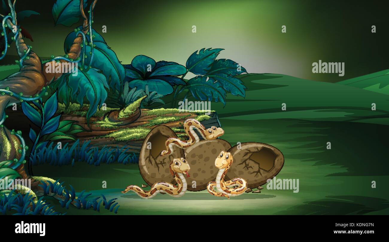 Snake eggs grass Stock Vector Images - Alamy