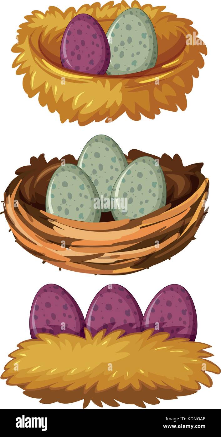 Different types of nests and eggs illustration Stock Vector Image & Art ...