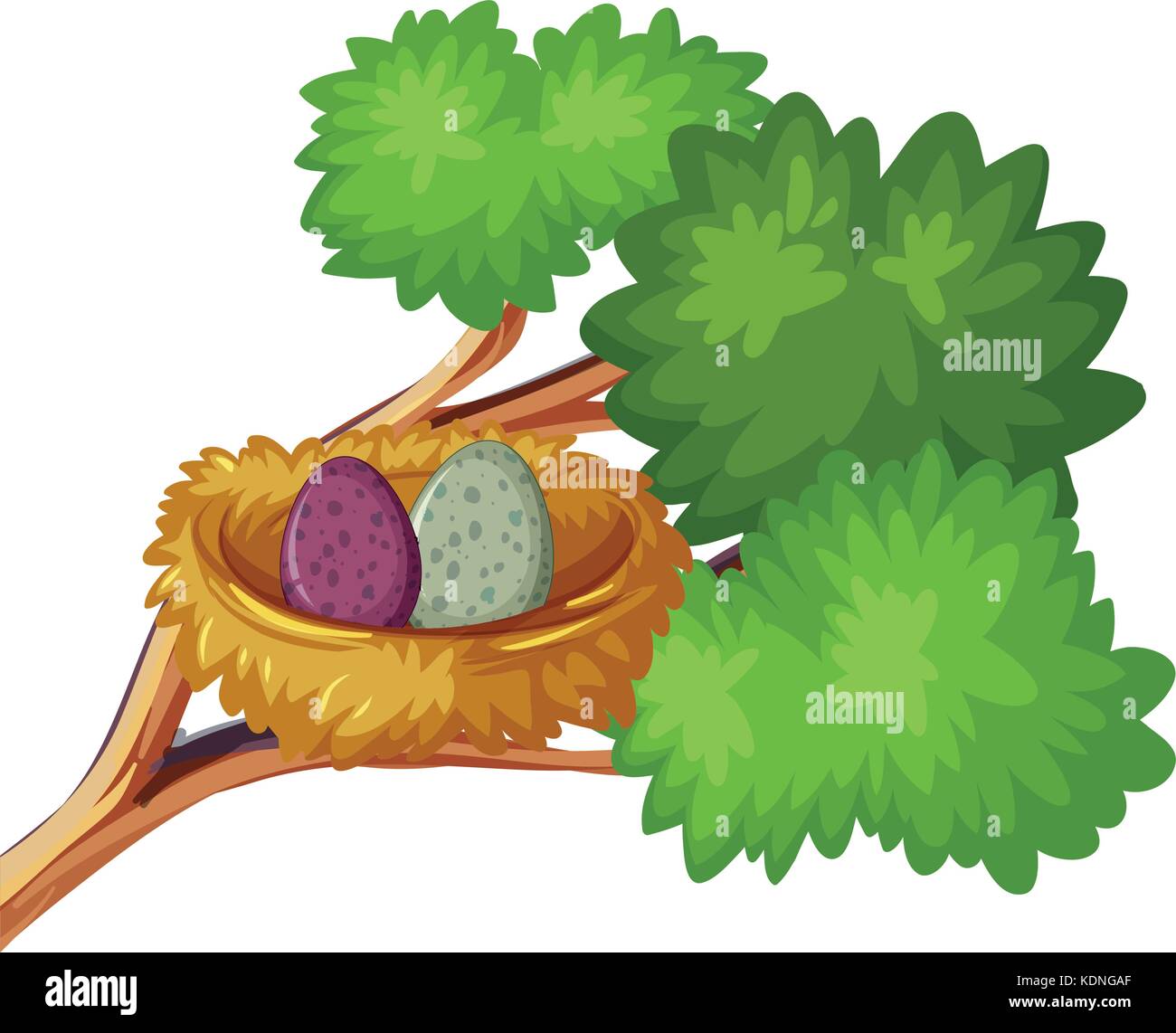 Birdnest Stock Vector Images - Alamy