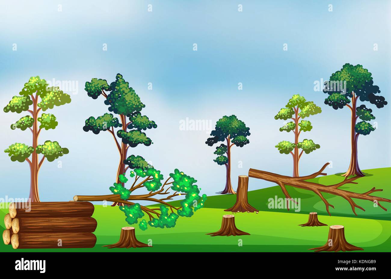 Deforestation Drawing