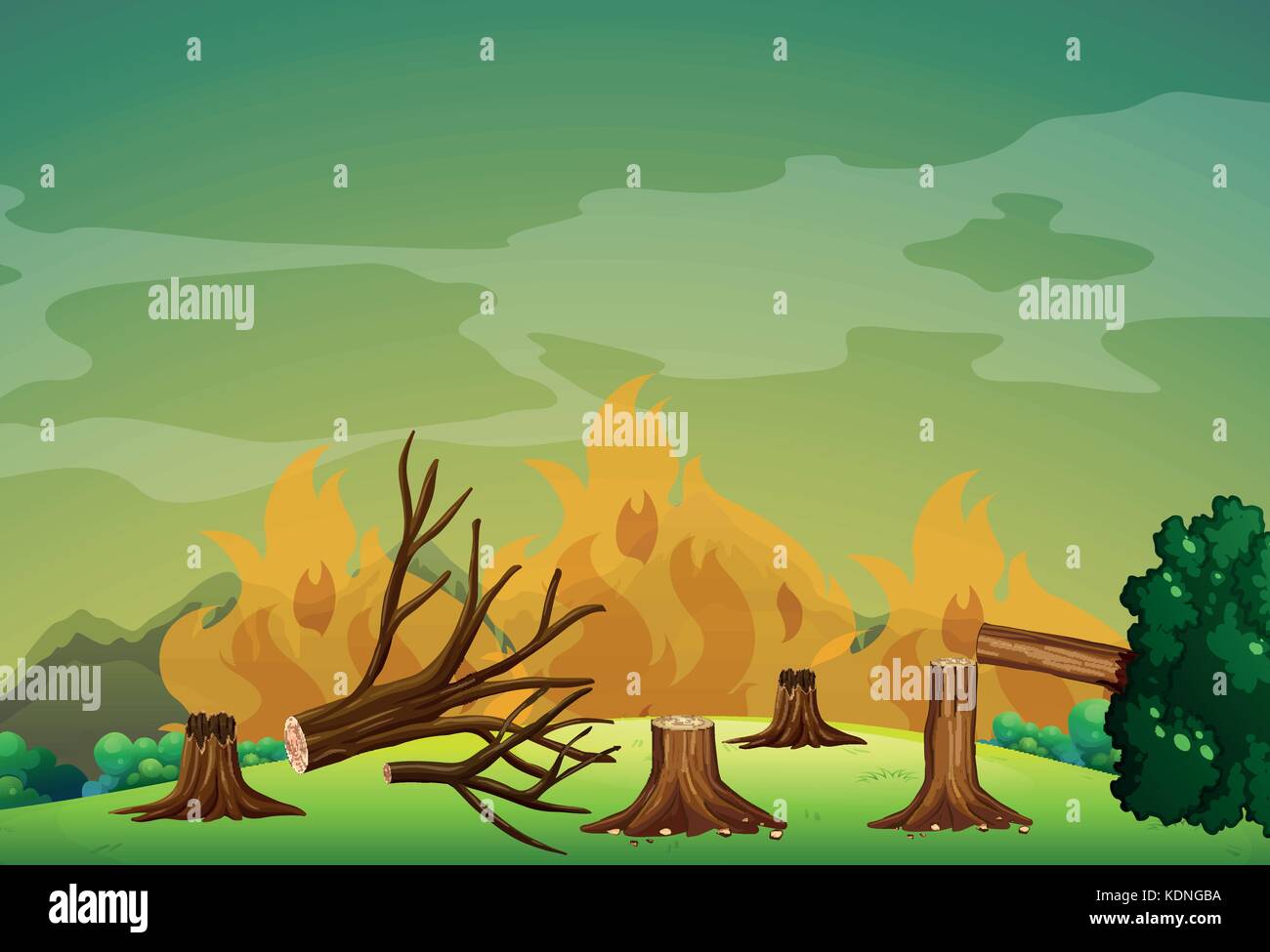 Wildfire in the forest illustration Stock Vector Image & Art - Alamy