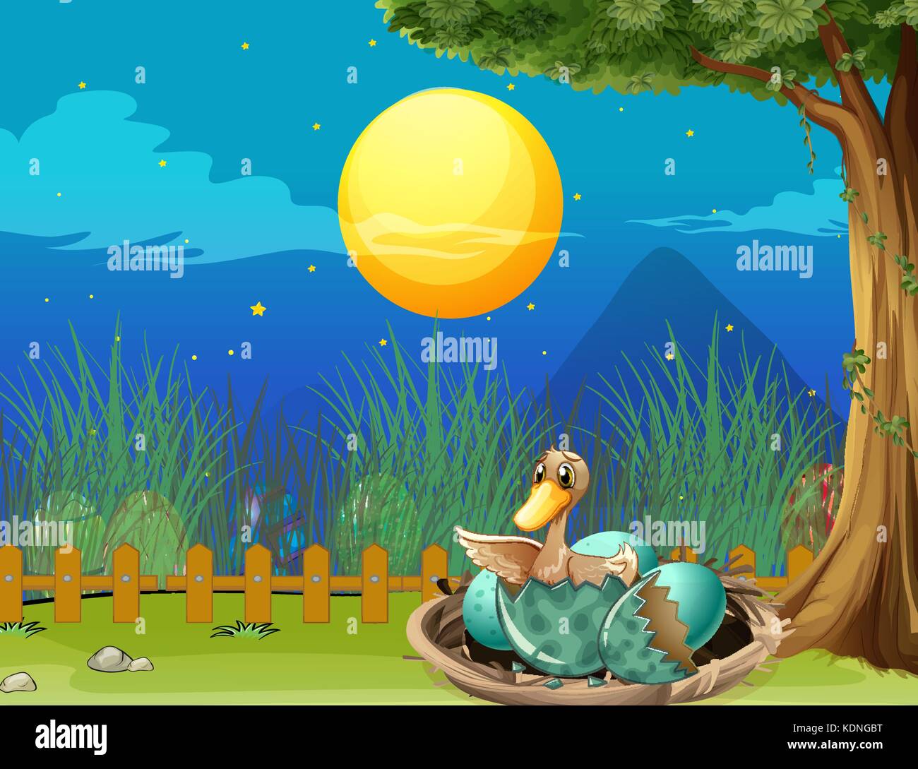 Duck hatching egg at night illustration Stock Vector Image & Art - Alamy