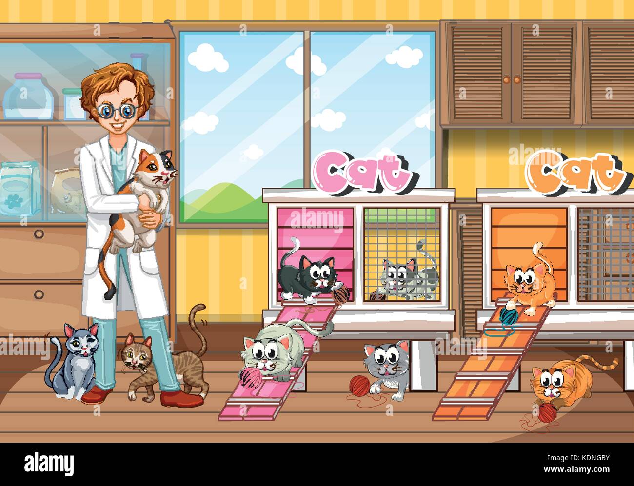 Vet and cats in clinic illustration Stock Vector Image & Art - Alamy