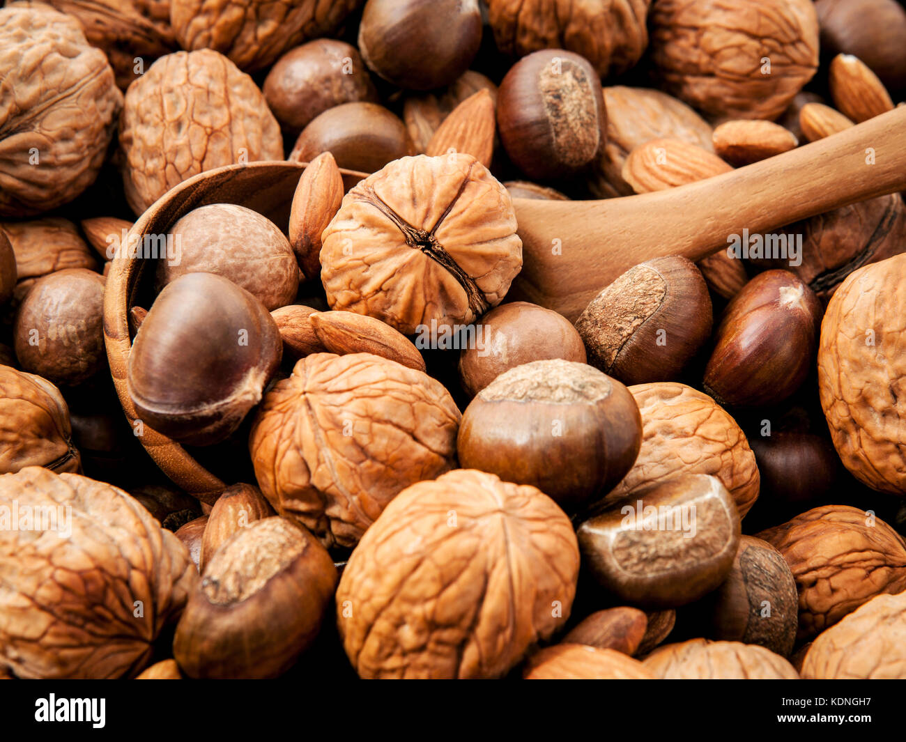 Background with different kinds of nuts walnuts kernels ,macadamia ...