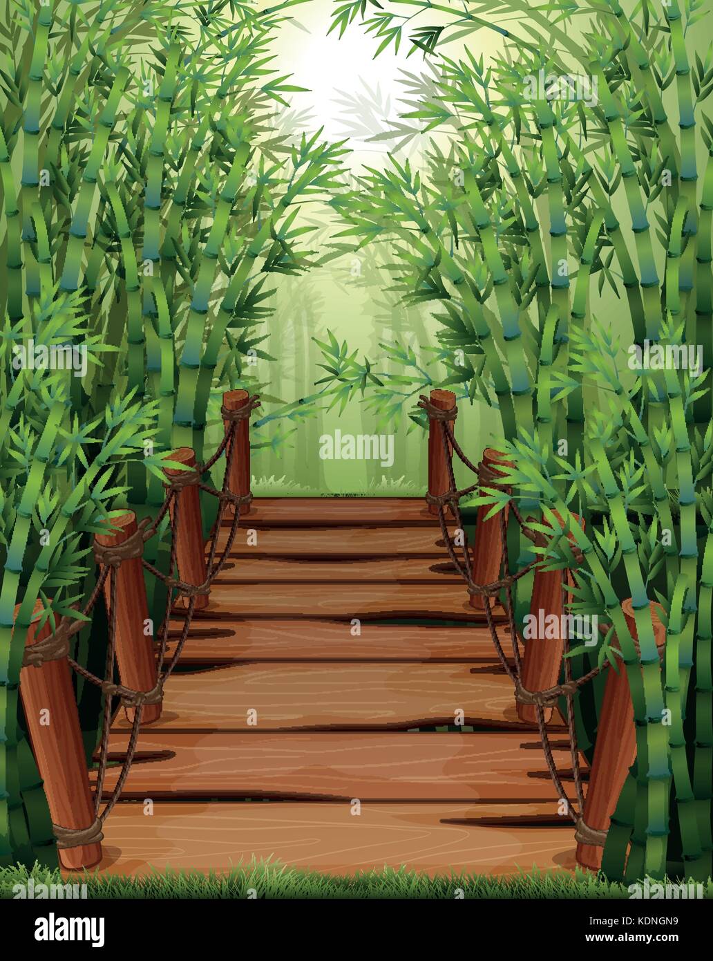 Wooden bridge in bamboo forest illustration Stock Vector Image & Art ...