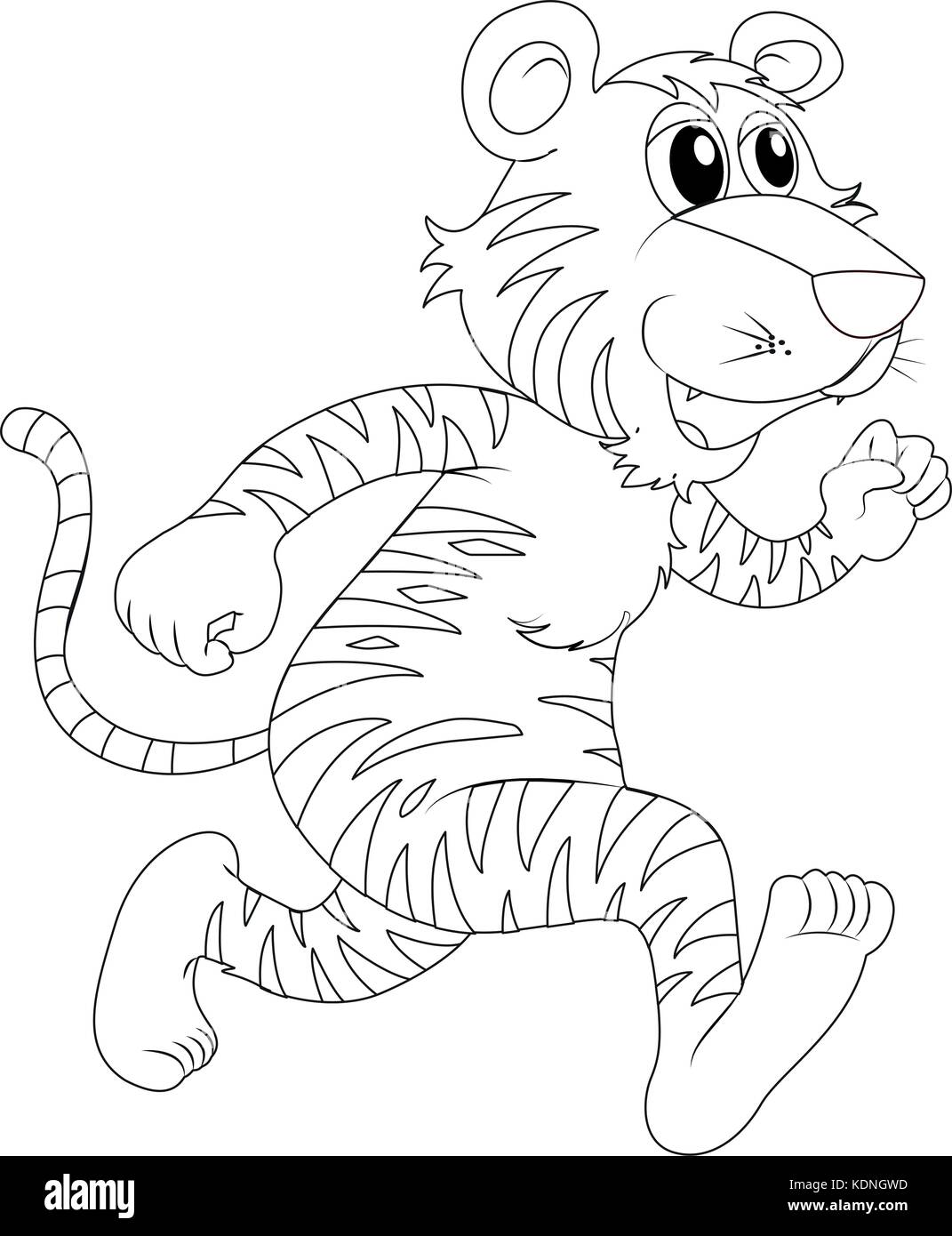 Doodles drafting animal for tiger illustration Stock Vector Image & Art ...