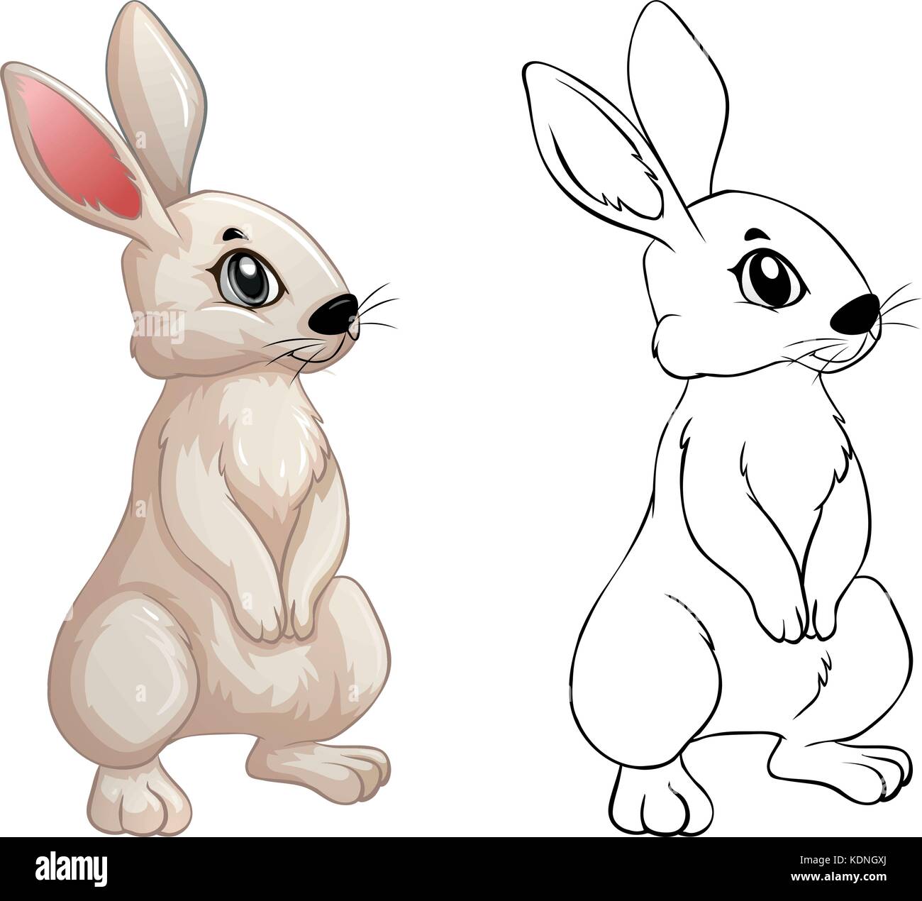 Animal doodle for little bunny illustration Stock Vector Image & Art ...