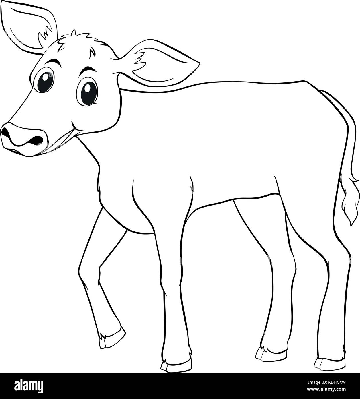 Animal outline for cow illustration Stock Vector Image & Art - Alamy