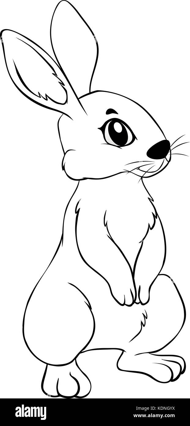 Rabbit Outline